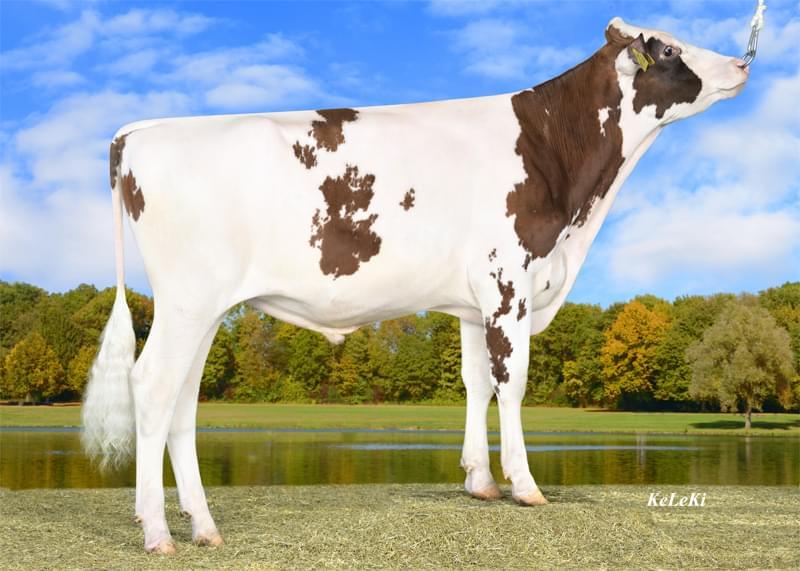 Sam Red P - Masterrind